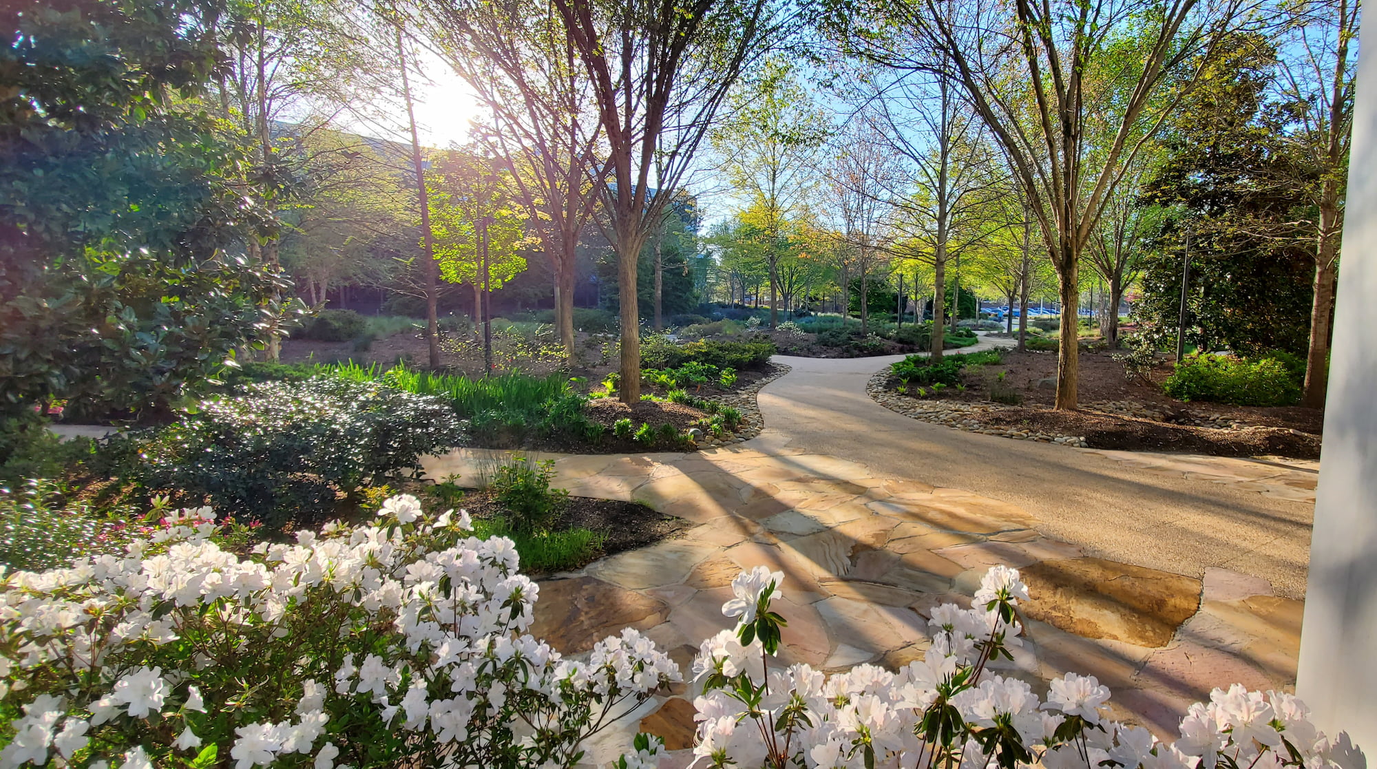 Welcome to the Triangle | Fidelity TalentSource