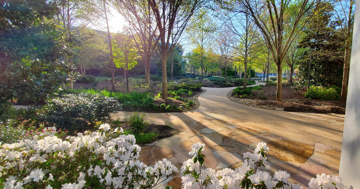 Welcome to the Triangle | Fidelity TalentSource