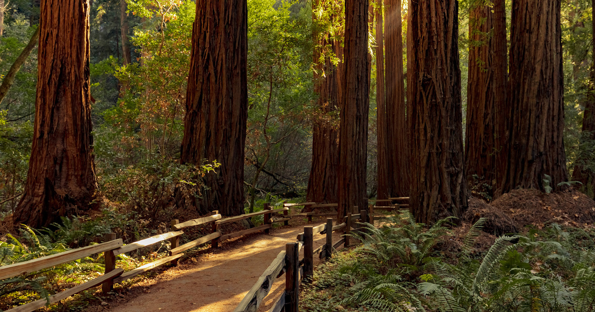 Welcome to New Hampshire | Fidelity TalentSource